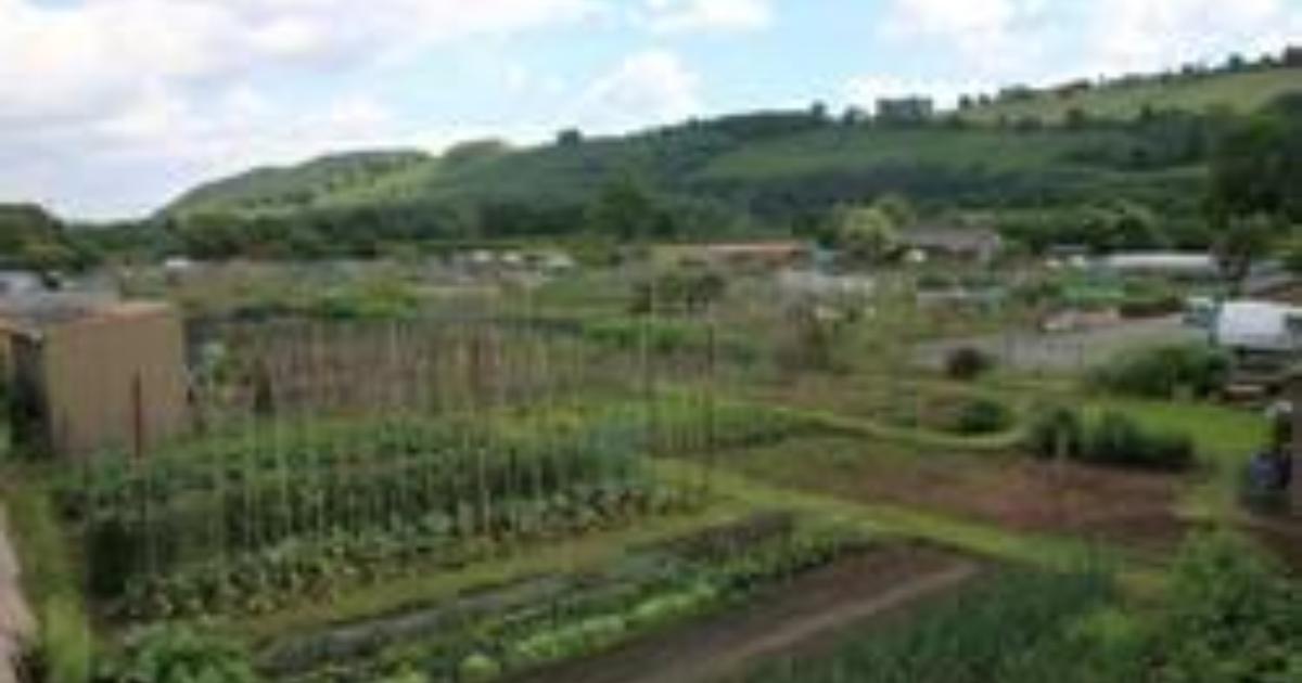 Brecon: The Watton Allotments - Powys County Council